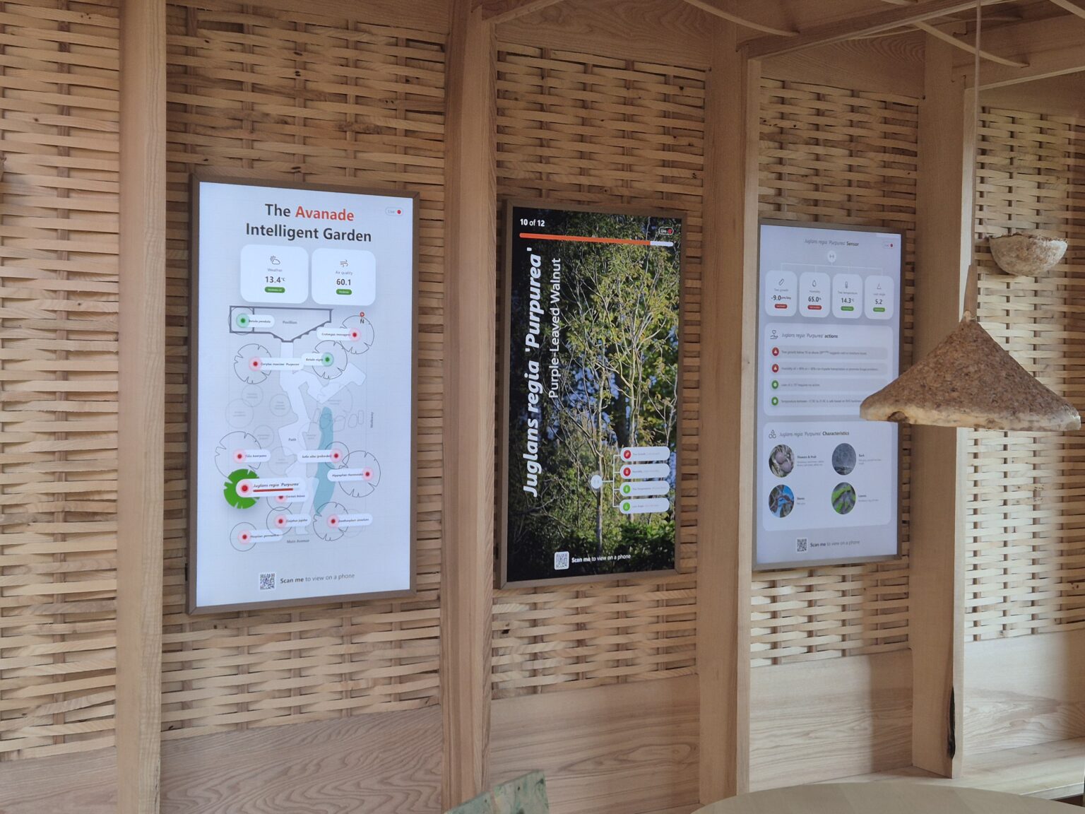 Avanade Intelligent Garden enables us 'talk' to trees