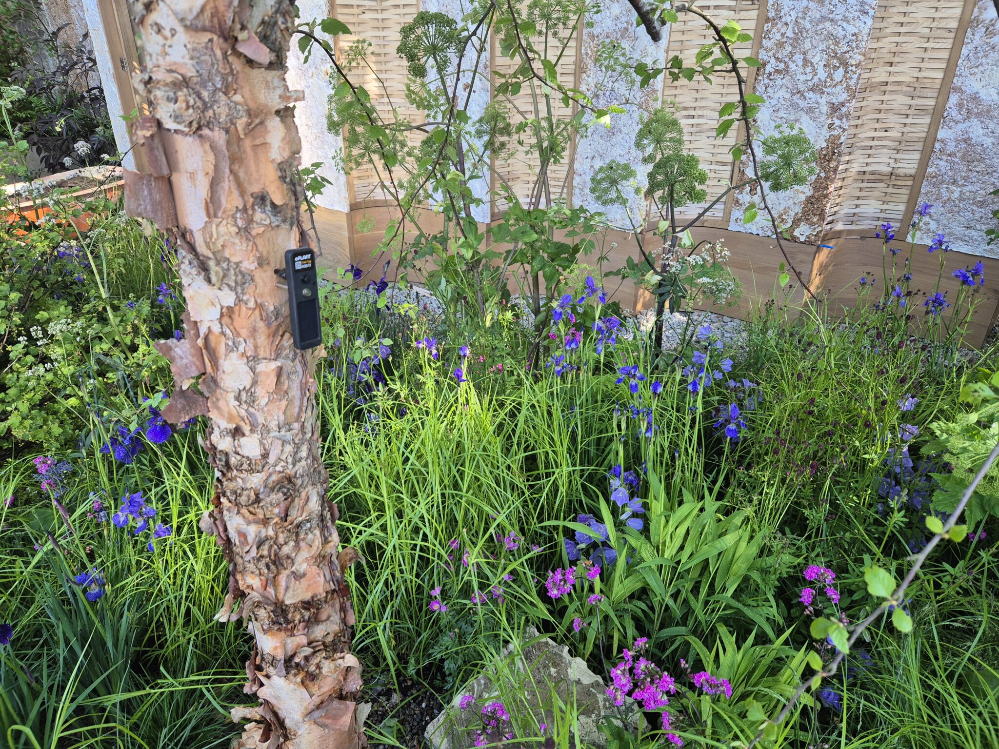 Avanade Intelligent Garden enables us 'talk' to trees